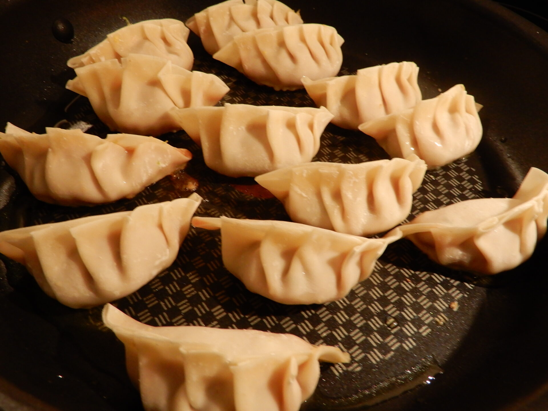 Japanske Gyoza - opskrift på japansk hverdagsmad - Taking a bite